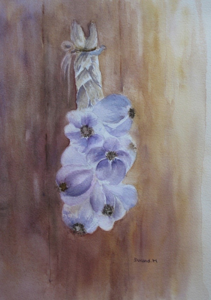 Peinture Tresse d'ail