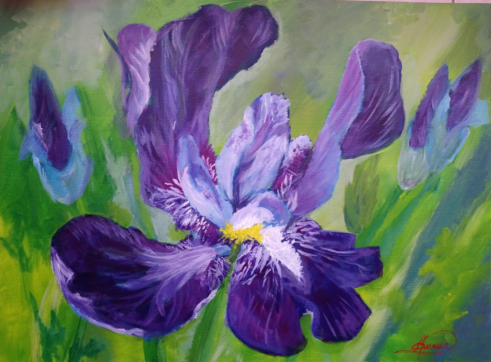 Peinture Iris 2