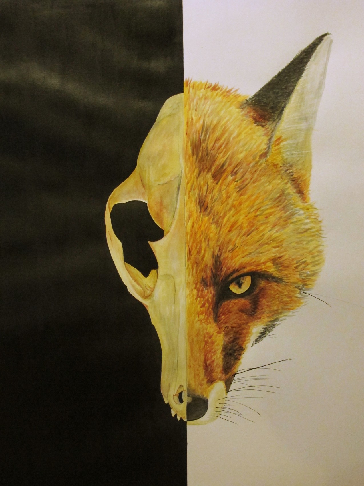 Peinture renard
